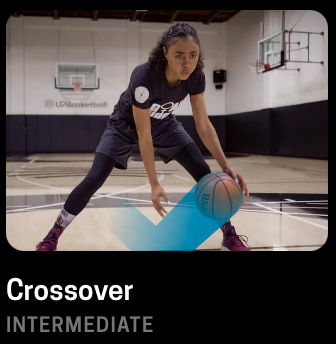 Ball Handling Training – Fox Valley Force