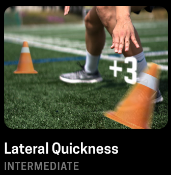 Agility – Fox Valley Force